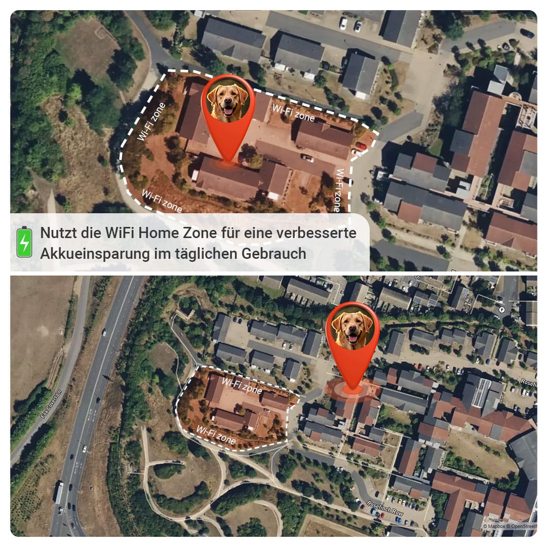 GPS Tracker für Hunde kaufen (2024) – PAJ Hundetracker